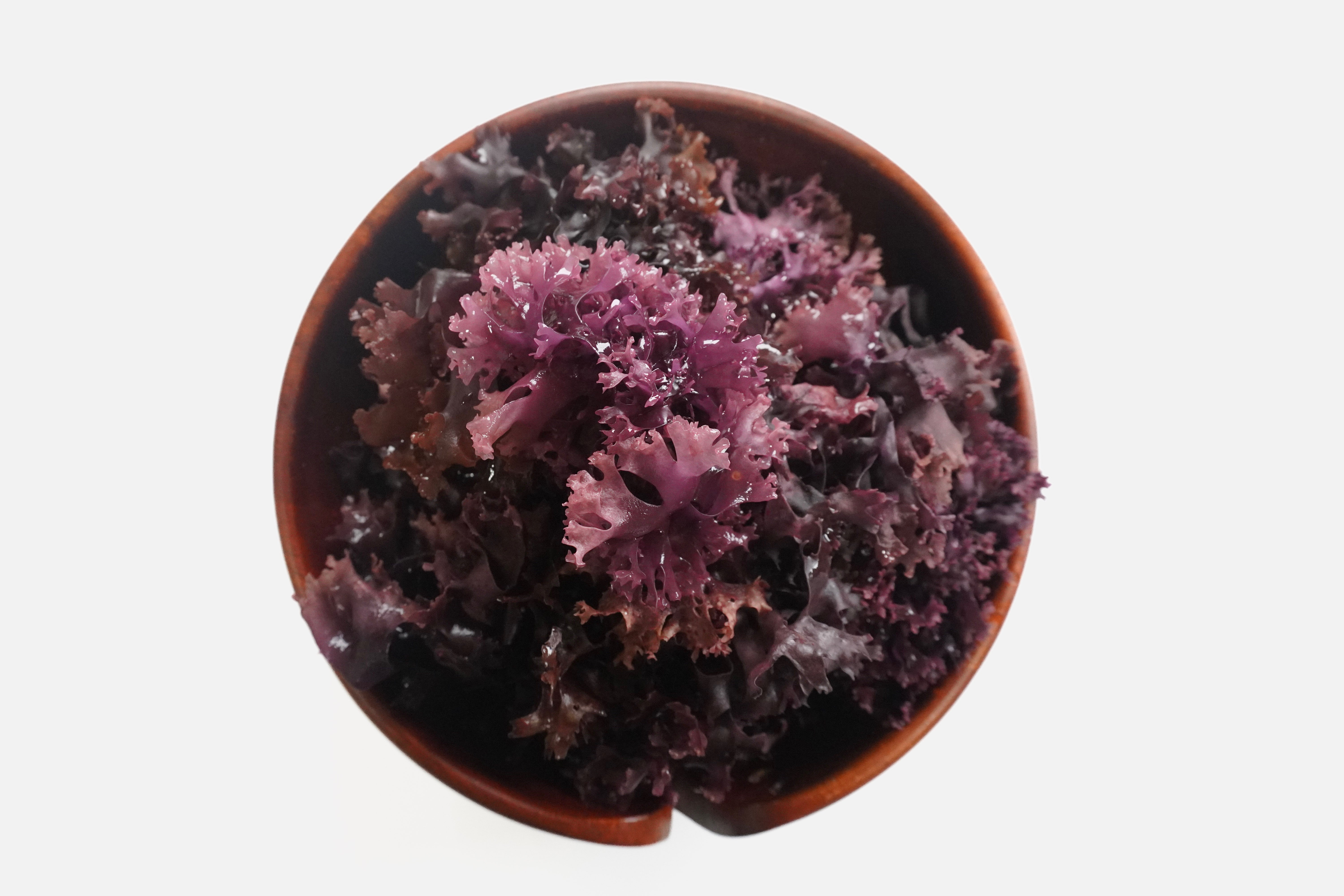 Chondrus Crispus 2oz